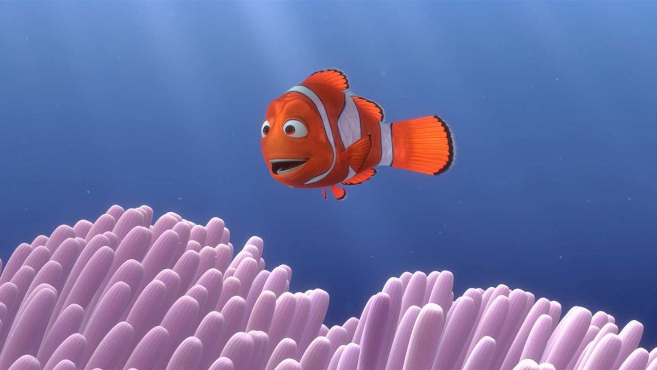 Hot Docs - Finding Nemo